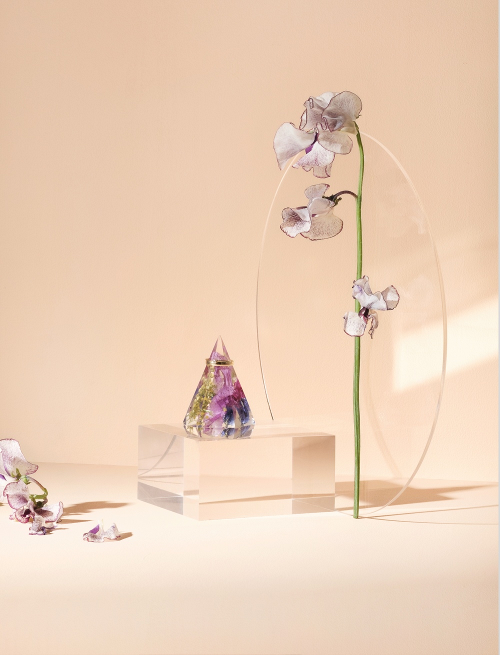 DIY Bouquet Preservation Kit: Create A Beautiful Keepsake – Soil + Soul ...